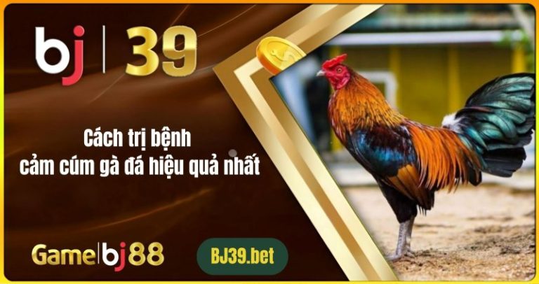 Cách Trị Bệnh Cảm Cúm Gà Đá Hiệu Quả Nhất » BJ39